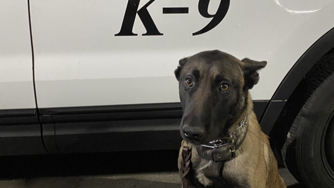LAPD Officer Keeping K-9 Unit Dogs Caged for Days at a Time - Knock LA